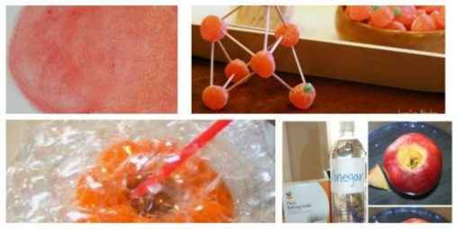 16 Apple & Pumpkin Science Activities - Raising Lifelong Learners