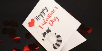 Cute Raccoon Valentine’s Day Card | Free Printable - Raising Lifelong ...