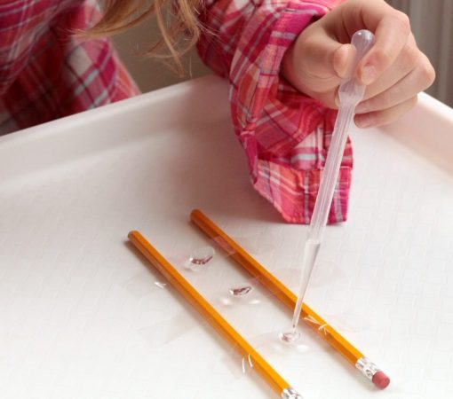Easy Homemade Microscope for Kids - Raising Lifelong Learners