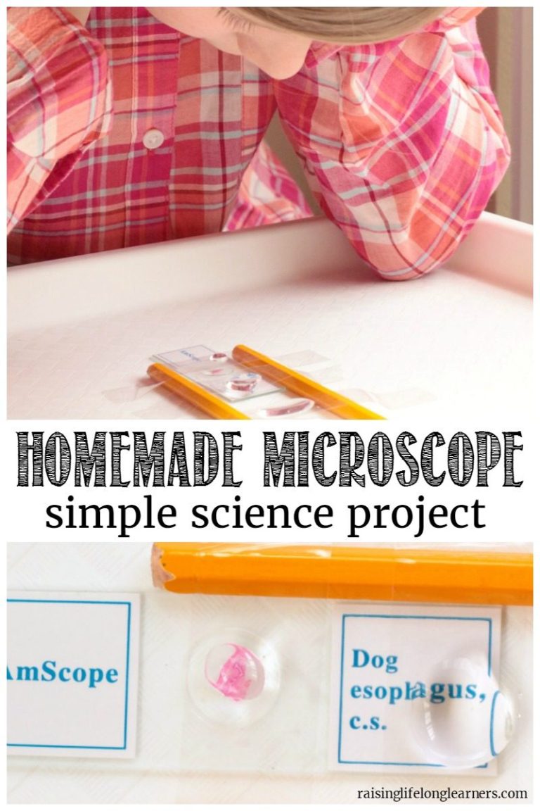 Easy Homemade Microscope for Kids - Raising Lifelong Learners