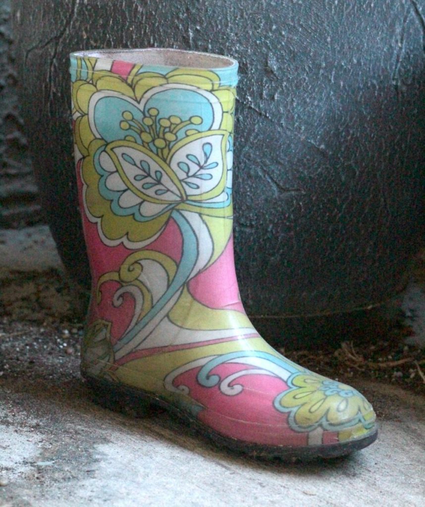 Rainboot Sprout Garden | Science for Kids - Raising Lifelong Learners