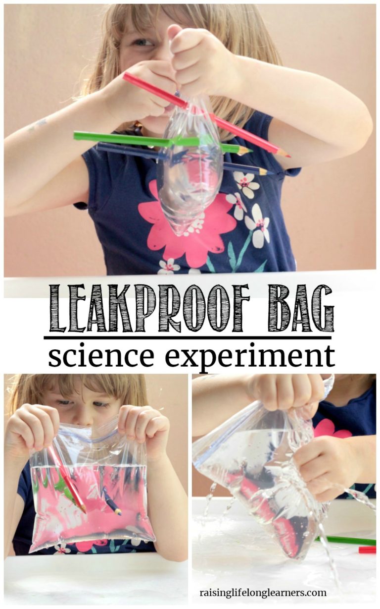 Leak Proof Bag: Quick Science Experiment for Kids - Raising Lifelong ...