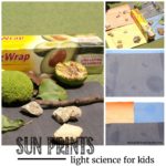 Outdoor Sun Prints: Summer Science for Kids - Raising Lifelong Learners