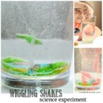 Wiggling Snakes Science Experiment - Raising Lifelong Learners