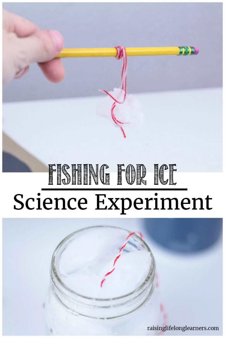 Fishing for Ice Science Experiment - Raising Lifelong Learners