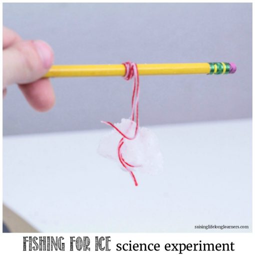 Fishing for Ice Science Experiment - Raising Lifelong Learners