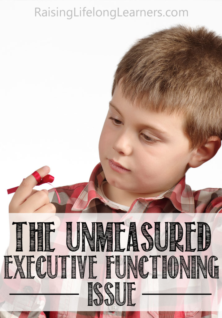 The Unmeasured Executive Functioning Issue - Raising Lifelong Learners