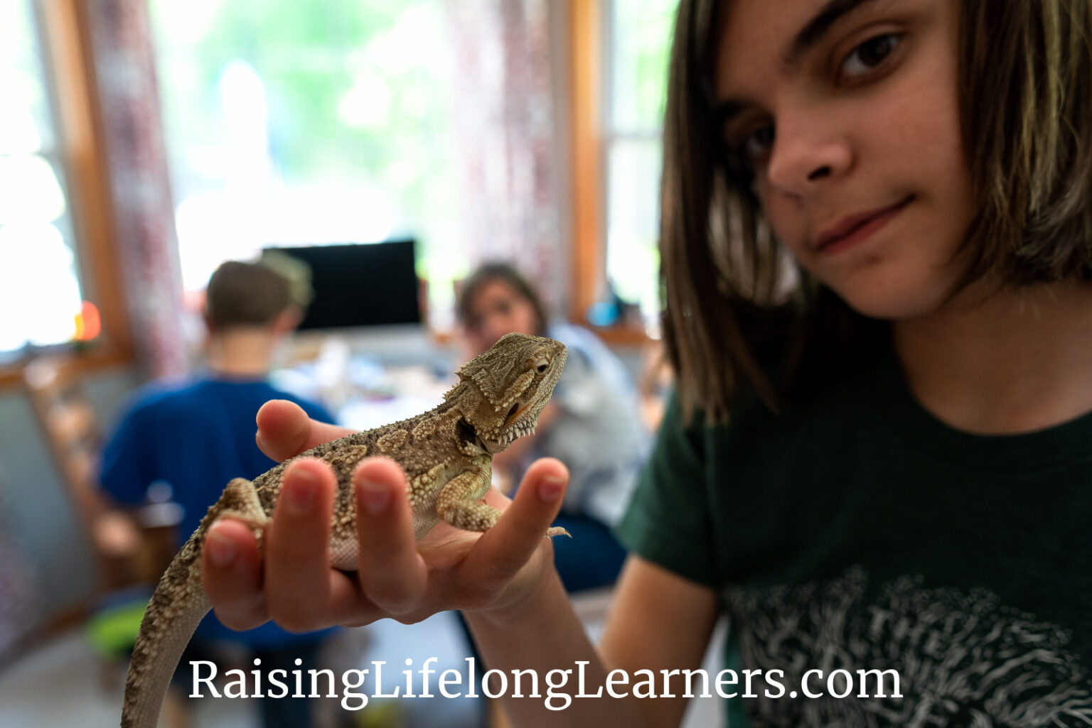 Supporting and Understanding Levels of Giftedness in Homeschooled ...