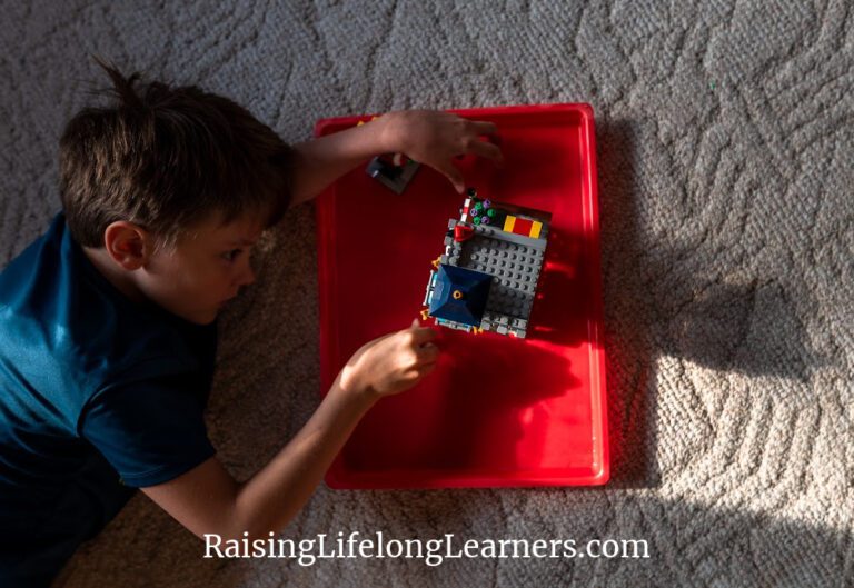 Why Play Matters | Unleashing Lifelong Learning Through Play - Raising ...